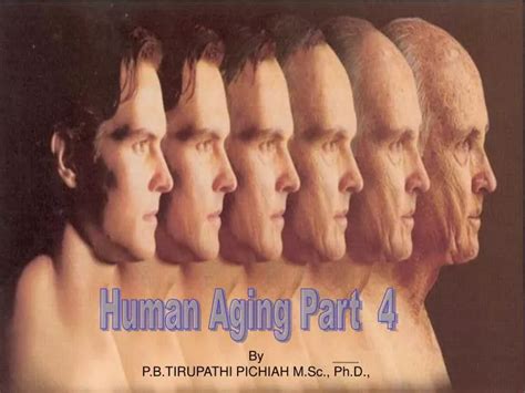 PPT Human Aging Part 4 PowerPoint Presentation Free Download ID 4436572