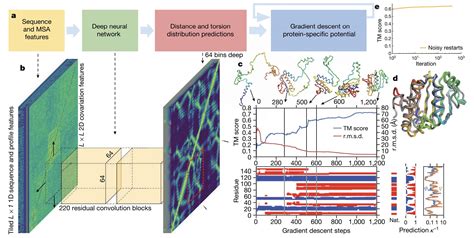 The Evolution Of Alphafold A Milestone In Protein Structure Prediction