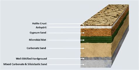 A Block Diagram Showing The Coastal Sabkha Formation Download