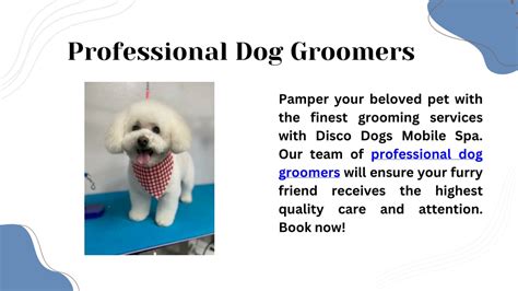 Ppt Professional Dog Groomers Powerpoint Presentation Free Download
