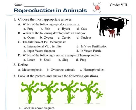 Reproduction In Animals For Class 8 Worksheet