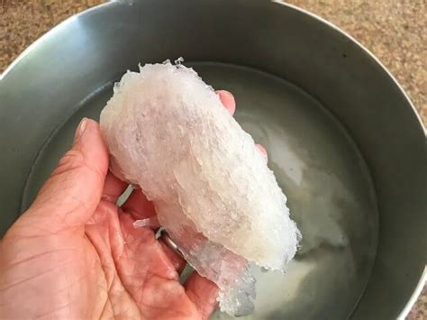 Chinese Birds Nest Soup Recipe • Steamy Kitchen Recipes