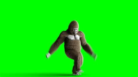 Dancing Gorilla 
