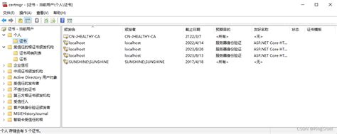 Iis 添加ssl证书，添加协议，浏览器添加证书iis证书导入 Csdn博客