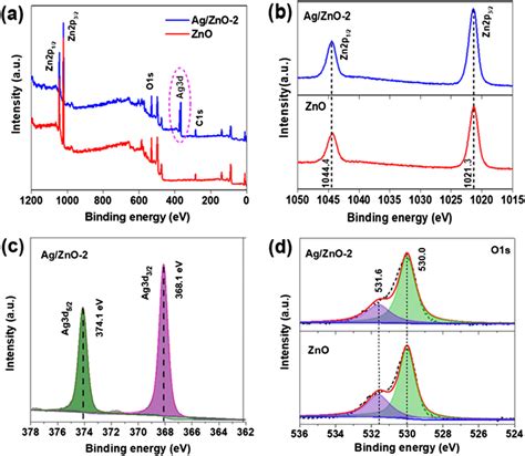 X‐ray Photoelectron Spectroscopy Spectra Of A Zno Samples B