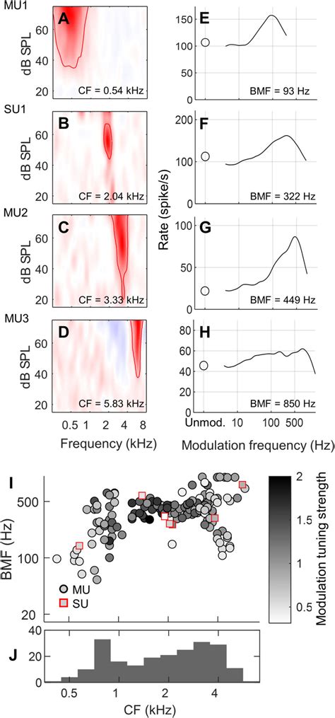 Midbrain Level Neural Correlates Of Behavioral Tone In Noise Detection