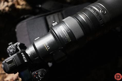 Nikon Z 600mm F4 First Impressions