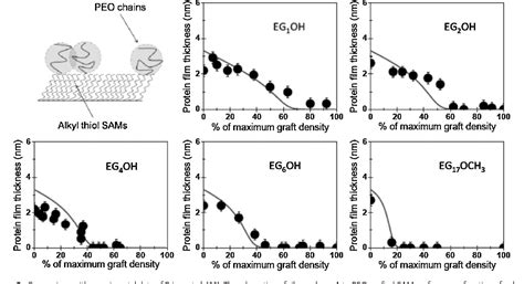 Figure 1 From Random Sequential Adsorption Model For Protein Adsorption