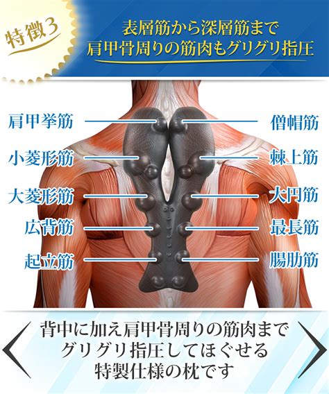 【楽天市場】【アウトレット商品】 B級品 訳あり 【累計5万個突破！】 背中 肩甲骨はがし マッサージ ストレッチ ツボ押し 【柔道整復師監修