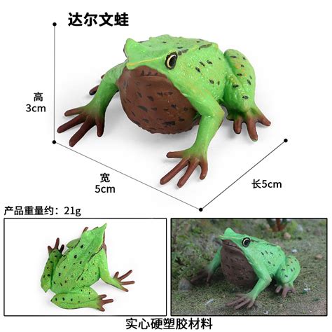儿童认知仿真动物玩具模型青蛙牛蛙树蛙癞蛤蟆田鸡蟾蜍塑胶摆件虎窝淘