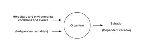 Skinners Heuristic Causal Chain Adapted From Skinner 19561961e P Download Scientific