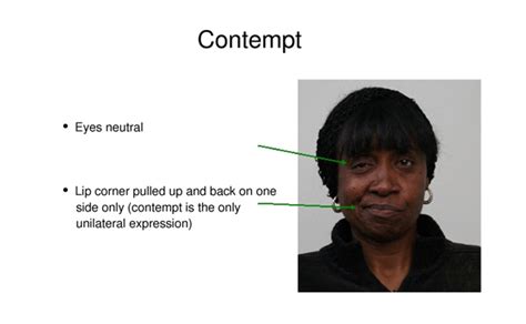How Many Basic Emotions Are There In Psychology