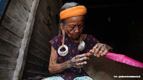 Tradisi Telingaan Aruu Simbol Kecantikan Suku Dayak Koropak Co ID