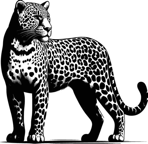 Leopard Profile Silhouette On Bright White Background 52063693 Vector