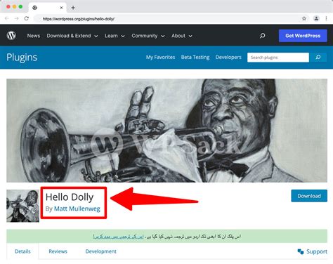 What Is Hello Dolly Plugin In Wordpress Should You Delete It Wpsack