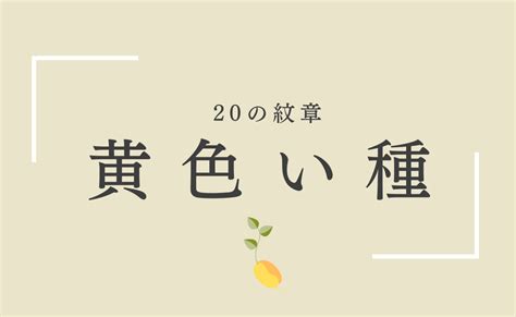 マヤ暦の黄色い種の紋章とは？物事の根本を追求し気づきを与える研究者！ 札幌マヤ暦サロン 飯田浩子