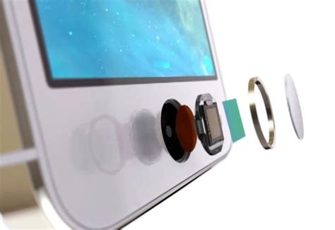 New Iphone 6 Fingerprint Sensor Revealed Rumor