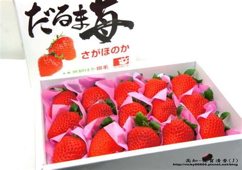 幼幼班 商品名稱草莓苗草莓種子日本草莓 日本高知 佐賀清香 100元一份70粒 露天市集 全台最大的網路購物市集