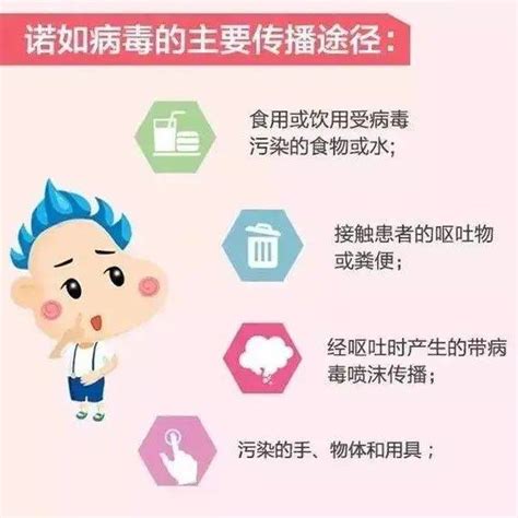 【转发】诺如病毒感染进入高发季！这份预防手册转给师生家长处理污染症状