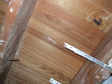 Can You Use Borax On Hardwood Floors