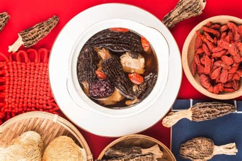 How To Properly Harvest And Prepare Morel Mushrooms Mushroom Appreciation