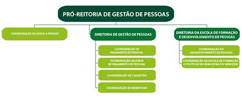 Pró Reitoria De Gestão De Pessoas — Portal Iffluminense