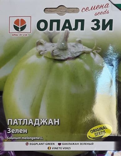Патладжан зелен