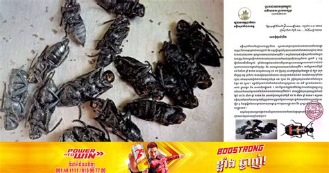 មន្ទីរសុខាភិបាលខេត្តព្រះវិហារ