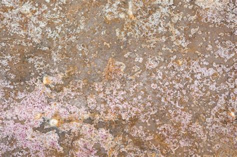 Premium Photo Rusty Background Premium Photo Rusty Background
