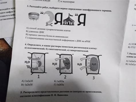 Помогите разгадать ребус пожалуйста Ответы Mail