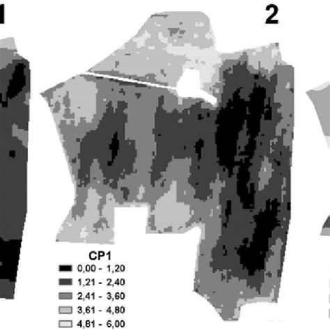 spatial distributions of the first principal components considering as