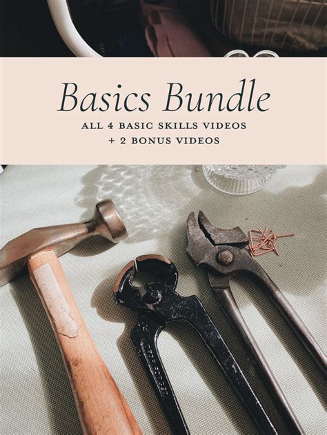 The Basics Bundle Vicky Dincecco