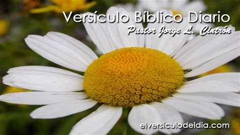 VERSÍCULO BÍBLICO DIARIO Proverbios 15 1
