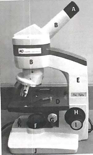 Lab 3 AND Lab 2 Flashcards Quizlet