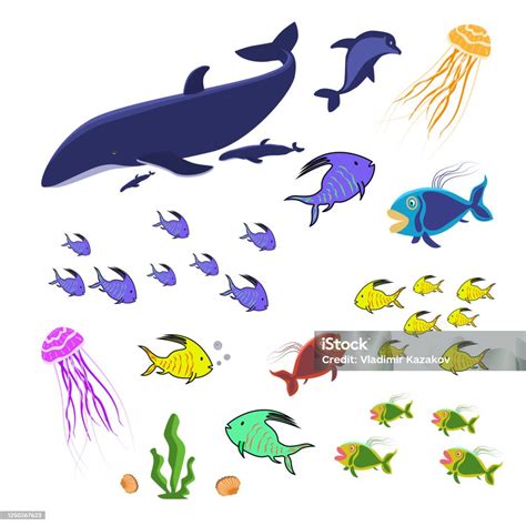 一組海洋動物被隔離在白色上五顏六色的魚 水母和鯨魚海洋水族館海洋生物的集合向量 Eps10向量圖形及更多一組物體圖片 一組物體 俄羅斯