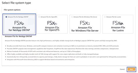 Backup Y Restauraci N De Veeam En Vmware Cloud Con Amazon Fsx Ontap