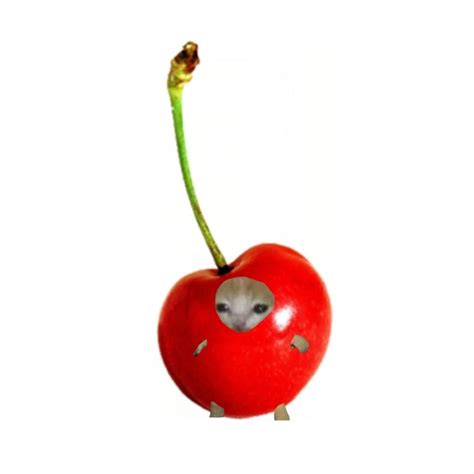 Cherry Cat