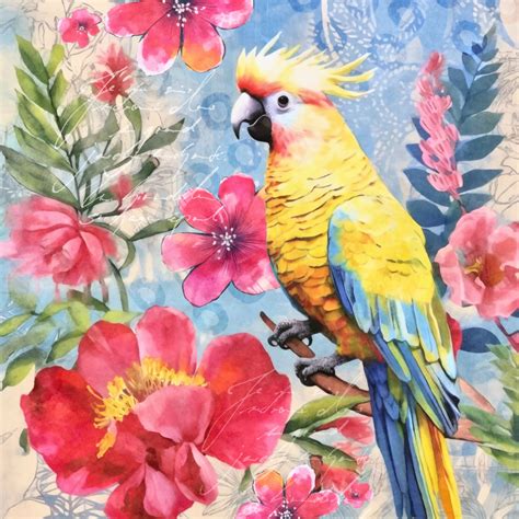 Cockatoos Tropical Garden Andrea Haase