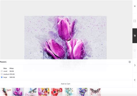 How To Enhance Your Product Gallery In WooCommerce