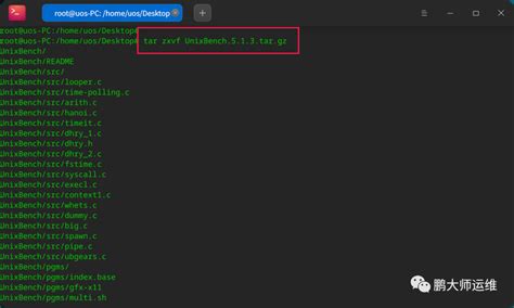 linux性能测试之unixbench 墨天轮