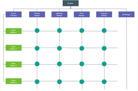 HR Organization Structure Chart Examples Types SSR