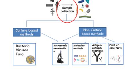 Diagnostics Flashcards Quizlet