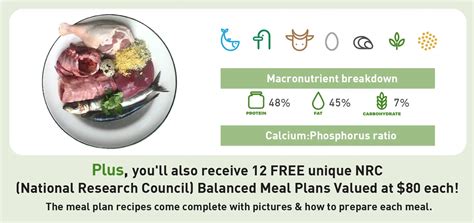 The Complete Raw Feeding Guide Digital Download The Rawsome Effect
