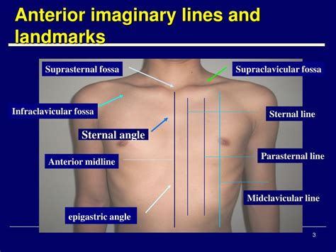 Ppt Physical Examination In Respiratory System Powerpoint
