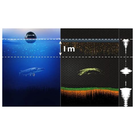How Sonars Work Deepersonar