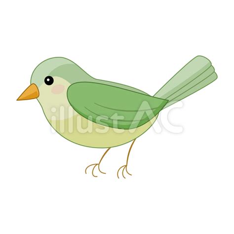 ウグイスのイラストイラスト No 22559105／無料イラストフリー素材なら「イラストac」