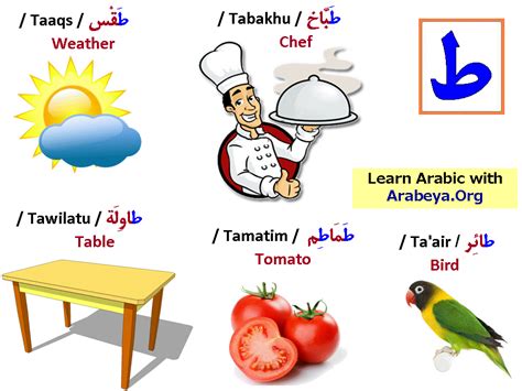 Words With Letter ط Arabic Letters Pinterest Learning Arabic