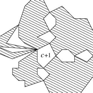 The C 1 St Face In This Figure Has 4 Neighboring Polygons And 5