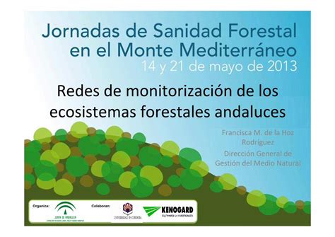 PDF Redes De Monitorizaci N De Los Ecosistemas Antecedentes En