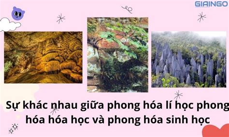 Sự khác nhau giữa phong hóa lí học phong hóa hóa học và phong hóa sinh học